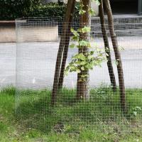 China 0.9mx50m Chicken Mesh Fence for sale