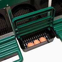 China 3 Compartment Roll Out Chicken Nesting Box for Up to 15 Hens Heavy Duty Best Nest Box for Chickens and Poultry with Lid for sale