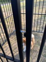 China Large Outdoor Dog Kennel Heavy Duty Metal Frame Fence Dog Cage Outside Pen Playpen Dog Run House with UV & Waterproof for sale