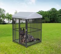 China Outdoor Dog Kennel Heavy Duty Metal Frame Fence Dog Cage Outside Pen Playpen Dog Run House with Roof for sale