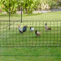China 24 M Chicken Net Fence Kit With Gate Double Pointed Posts in Green with Fibreglass Rod for sale