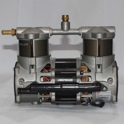 China 310W Oil Free Medical Air Compressor GSE Compressor for 5L Oxygen Generator 230V 50Hz for sale