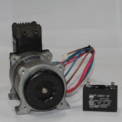 China GSE ZWS45A-5/1 Oil-Free Dental Air Compressor 55W 5LPM 100KPa Compact Design for Clean Air Applications for sale