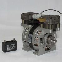 China GSE 65W Oil-Free Air Compressor for Oxygen Generator - 10 L/min Flow Rate, 220V AC, 2.0 kg Weight for sale