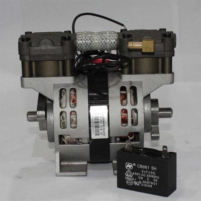 China GSE ZW50B2-15/1-LN016 Oilless Air Compressor 15 L/min Flow 200 kPa Pressure for 1L Oxygen Concentrator for sale
