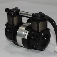 China GSE 16 LPM Oilless Air Compressor - 12V DC, 58W Power, 0.32kg Portable Oxygen Generator for sale