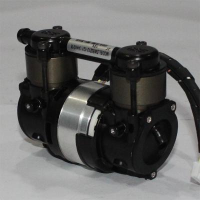 China GSE 16 LPM Oilless Air Compressor - 12V DC, 58W Power, 0.32kg Portable Oxygen Generator for sale