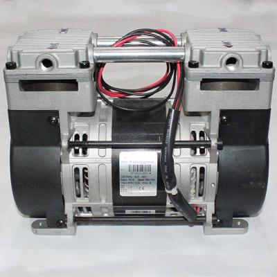 China GSE ZW400A-110/2 Oil-Free Medical Air Compressor 610W for 10L Oxygen Generator with 6.5 m³/h Flow for sale