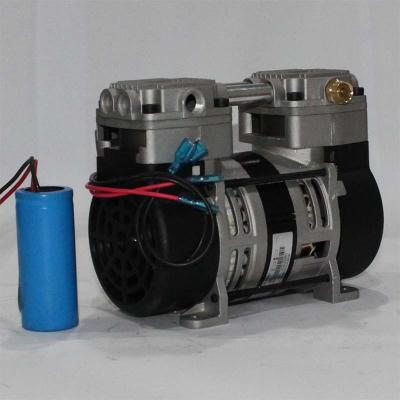 China GSE ZW100AS-40/-0.9-GSE 170W Oilless Air Compressor Pump for Beverage Industry 220V 50Hz for sale