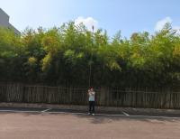 China 20ft  25ft high sturdy carbon fiber telescoping pole for  paint roller for sale