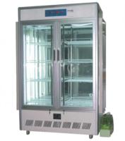 China Never Deformation Aging , Never Rust  Artificial Climate Incubator for sale