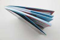 China Financial Bestseller Softcover CMYK Full Color Spot UV Book Printing Service for sale