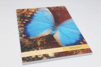 China Butterfly Pattern CMYK Full Color Paperback Offset Paper Notebook Printing Services for sale
