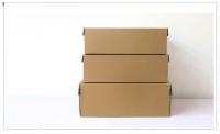 China Waterproof Carton Shoe Box For Sneakers Boots for sale