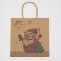 China Environmental Friendly Custom Brown Paper Bags Portable Recycled for sale