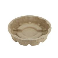China Takeaway Paper Molded Pulp Packaging Tray Custom Biodegradable Food Grade for sale