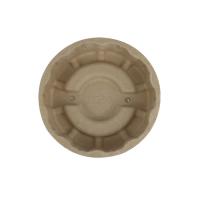 China Takeaway Paper Molded Pulp Packaging Tray Custom Biodegradable Food Grade for sale