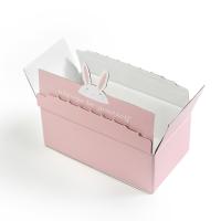 China Sturdy Storage Foldable Corrugated Carton Custom Closing Self Stick Zipper Mailer Box Packaging for sale