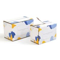 China Wholesale Postal Packaging Box Self Seal Sticker Zipper Recycled Mailer Shipping Box With Adhesive Tear Strip for sale