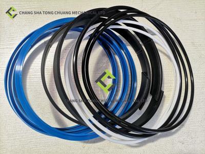 China Outlet Sealed Package P01609000597 For S Valve Big End Of Zoomlion Concrete Pump for sale