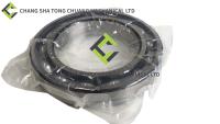 China Transfer Box Bearing 6017 1kg for Sany and Zoomlion Concrete Pump Truck Accessories for sale