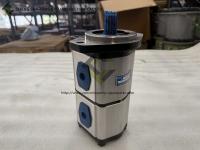China Sany Heavy Industry Concrete Pump Fittings Double Gear Pump B220301000413 for sale