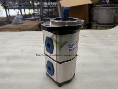 China Sany Heavy Industry Concrete Pump Fittings Double Gear Pump B220301000413 for sale