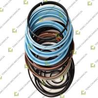 China Sany100/140+100 For BCS25.3.11.1 Cylinder Main Cylinder Seal Repair Kit，Main Cylinder Service Kit，Main Ram Repair Kit，Main Cylinder Repair Kit，Main Cylinder Seal Kit，Main Oil Cylinder Service Kit for sale