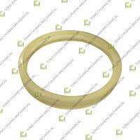China BCV62.9.1-1/φ175 Sealing Ring，Oil Seal，O-Ring，Hydraulic Seal，Piston Seal，Cylinder Seal，Wear-Resistant Seal，Gasket Seal，Rotary Seal，Mechanical Seal for sale