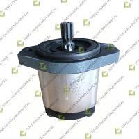 China AZPW21022RRR20MBS0593 Gear Pump for Concrete Machinery，Hydraulic Gear Pump，Concrete Pump Gear Pump，High‑pressure Gear Pump，Cast Iron Gear Pump，Main Hydraulic Gear Pump，Auxiliary Gear Pump for sale