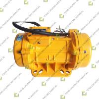 China ZF25-50 Vibrator，Heavy-duty Vibrator，Industrial Vibrator，Electric Vibrator，Mechanical Vibrator，Vibration Exciter Vibrator，High Frequency Vibrator，Vibration Unit Vibrator，Rotary Vibrator for sale