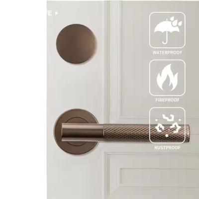 China Classic And Luxurious RFID Hotel Door Lock With Card And Key In Hotels for sale