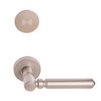 China Grade C Security Smart Hotel Lock with 18-Month Battery Life and 1000 kg Pressure Strength for sale