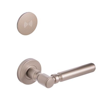 China Grade C Security Smart Hotel Lock with 18-Month Battery Life and 1000 kg Pressure Strength for sale
