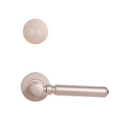 China C-Level Cylinder Zinc Alloy Mortise Lock Body Hotel Key Card Lock RFID For Hotel Chains for sale