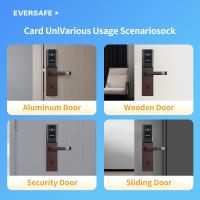 China Hot Sale Wholesale Standard Door Prep Durable Smart Lock for Hotel and Student Residences for sale
