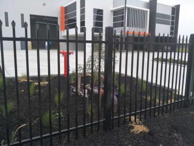 China Security Fence Panels Spear Top Fence Panels 2400mm (H) x 2100mm (W) for sale