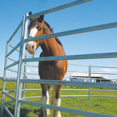 China 22 Panel Horse Yards Inc Gate,Horse Arenas, Cattle Fences, Corral, 15m Diameter for sale