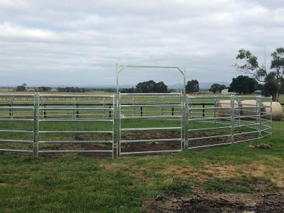 China Horse Arenas 20 Meter,Australia Style Corral,Cattle Yards 