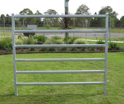 China 9m Diameter PortableHorse Stall Panels 13Pcs incl. 3m tall Gate for sale
