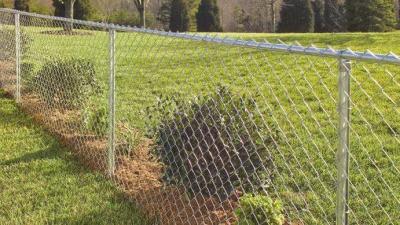 China Green PVC COATED Chain wire fencing 1.2 mx20m / Chain Mesh / Chain link fence for sale