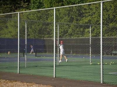 China Hot Dipped Galvanized Chain-Link Fence 2.1mx10mx50x50mm Pick up 