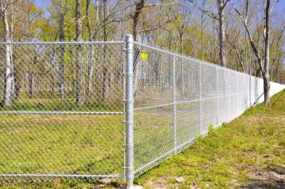 China Galvanized Chain Link Fence 1.80m*15m*50mm*2.5mm Pick up 