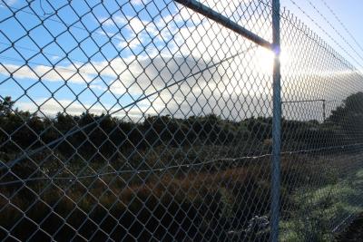 China Black PVC coated Chain Link Panels/Cyclone Fence 2.4m*15m*50mm*50mm*3.3mm for sale