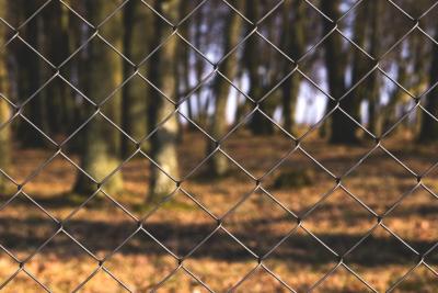 China 2.4mx10m Chain Link Fence,Hot Dipped Galvanized Chain-Link Fence for sale