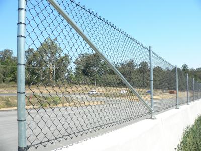 China 2.1mx10mx50x50mmHot Dipped Galvanized Chain-Link Fence for sale