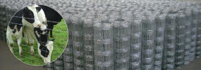 China Galvanized Steel Wire Mesh Fence Animal 72 inch field fence Zoo Wild Fencing Roll for sale