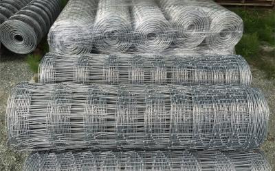 China Galvanized Welded Wire Mesh 60 inch field fence Roll Hardware for sale