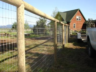 China Galvanized Steel Wire Mesh Fence Animal 5 foot field fence Zoo Wild Fencing Roll for sale