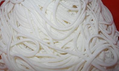 China Large Polyester Spiral Mesh Monofilament Polyester Mesh White And Blue for sale